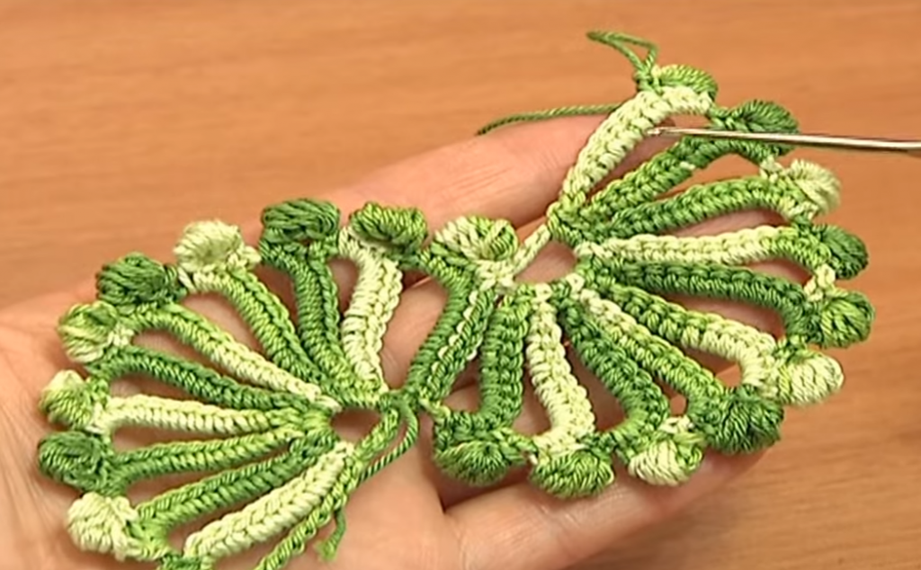 Double Sided Shells Lace Tutorial - Crochet Ideas